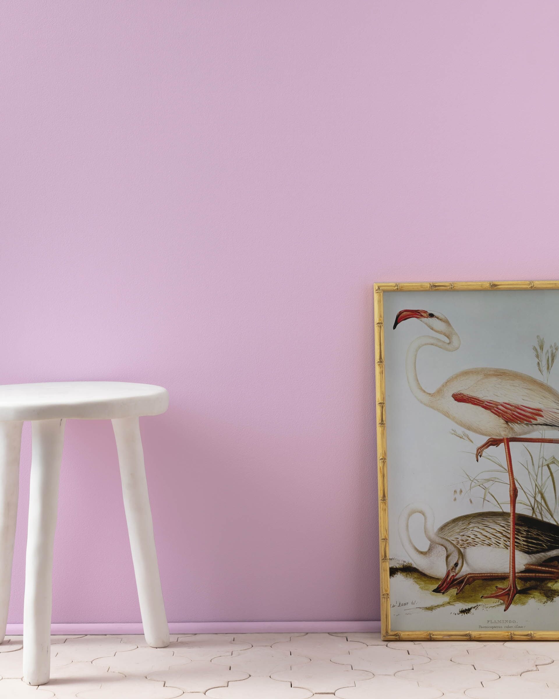 Angelina (1376) – Benjamin Moore Hong Kong & Macau