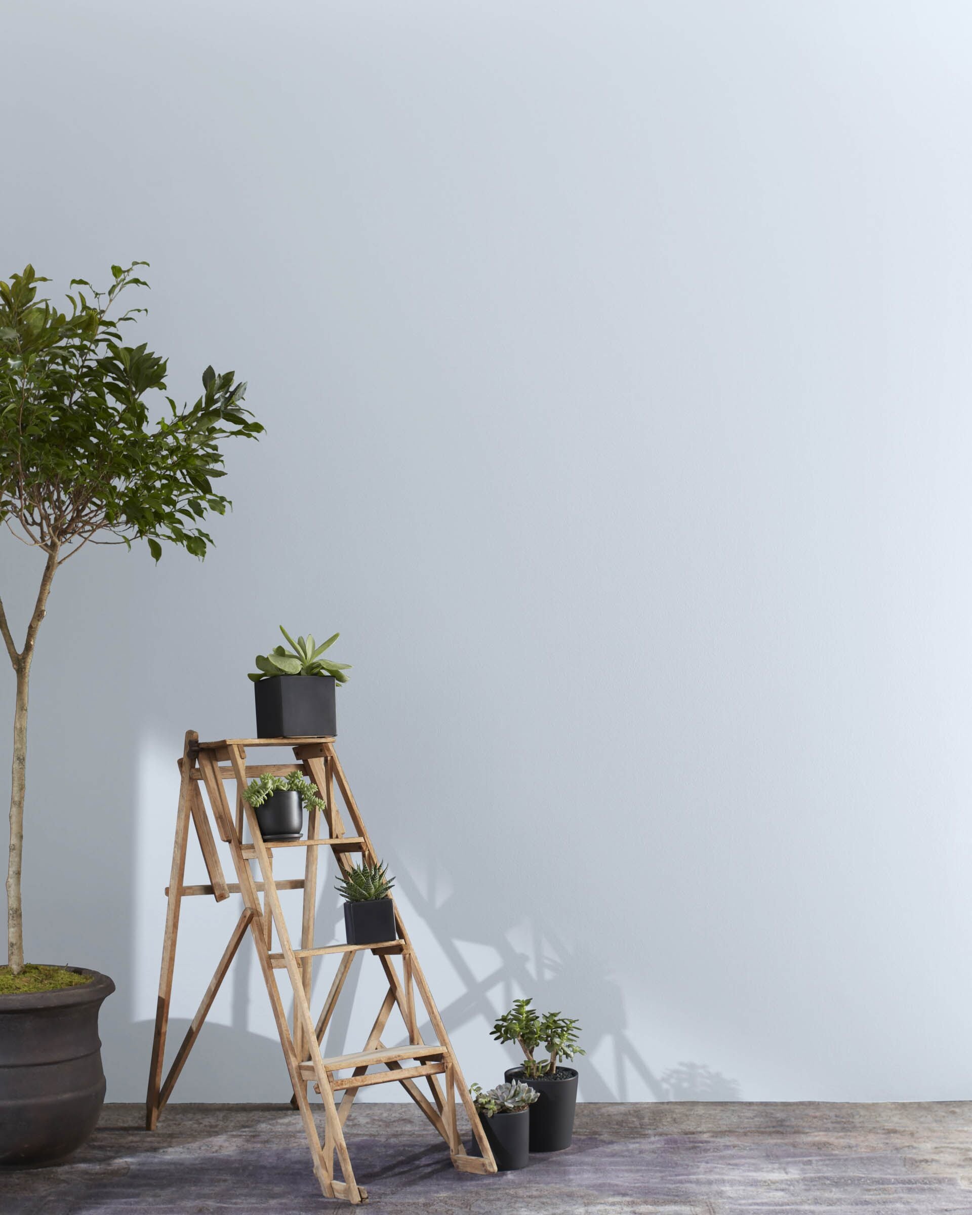 Violet Mist (1437) – Benjamin Moore Hong Kong & Macau