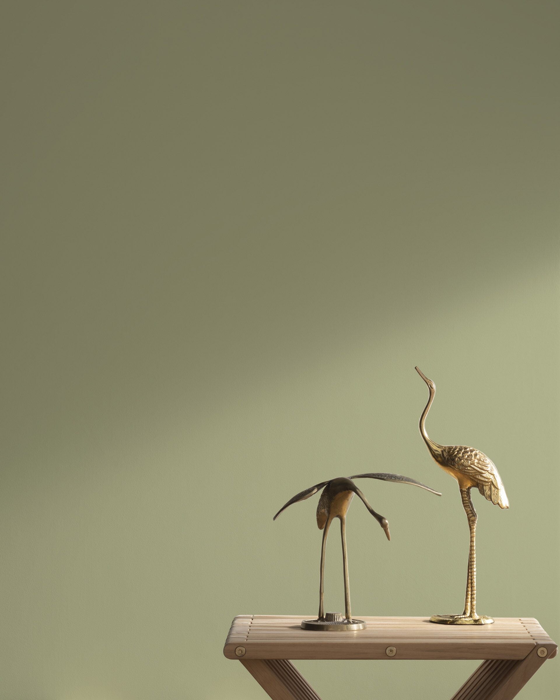 Thicket (AF-405) – Benjamin Moore Hong Kong & Macau