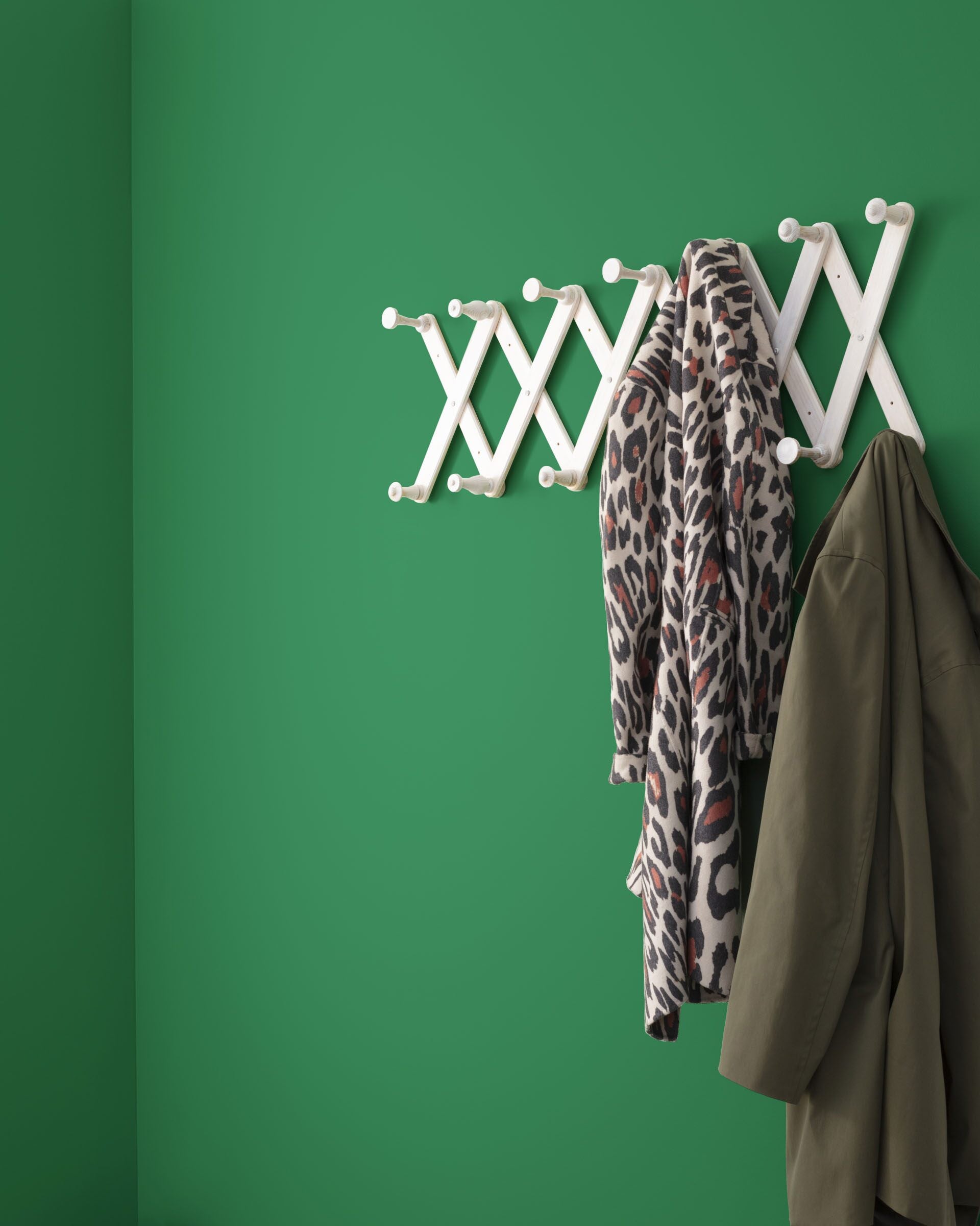 Irish Moss (2036-20) – Benjamin Moore Hong Kong & Macau