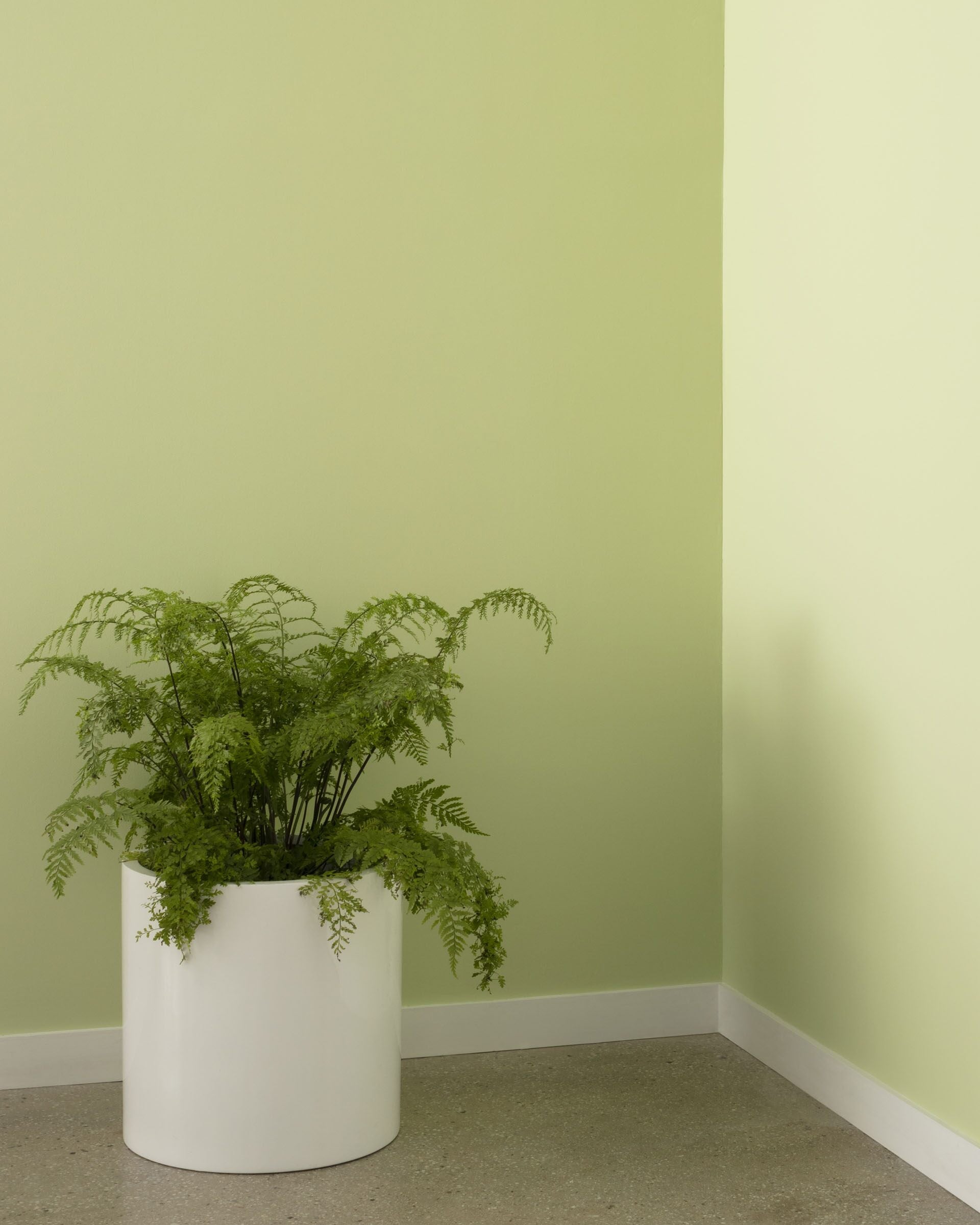 Veranda View (541) – Benjamin Moore Hong Kong & Macau