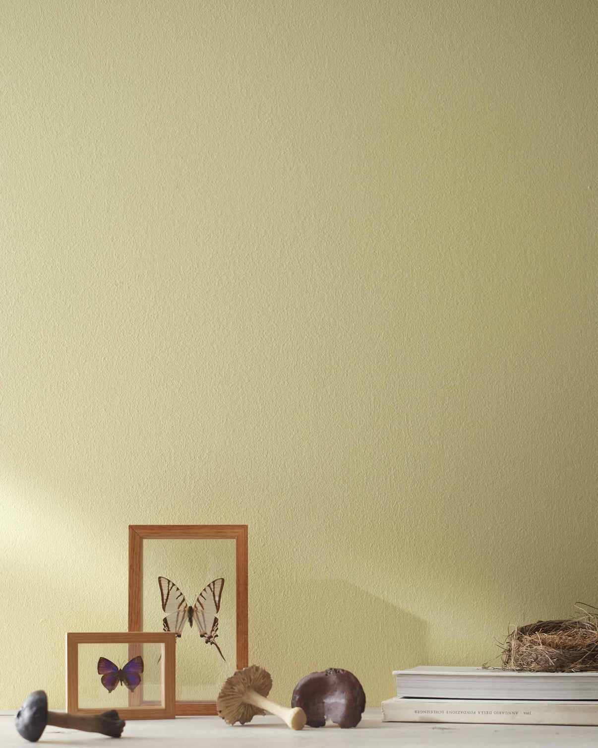 Burwell Green (CW-445) – Benjamin Moore Hong Kong
