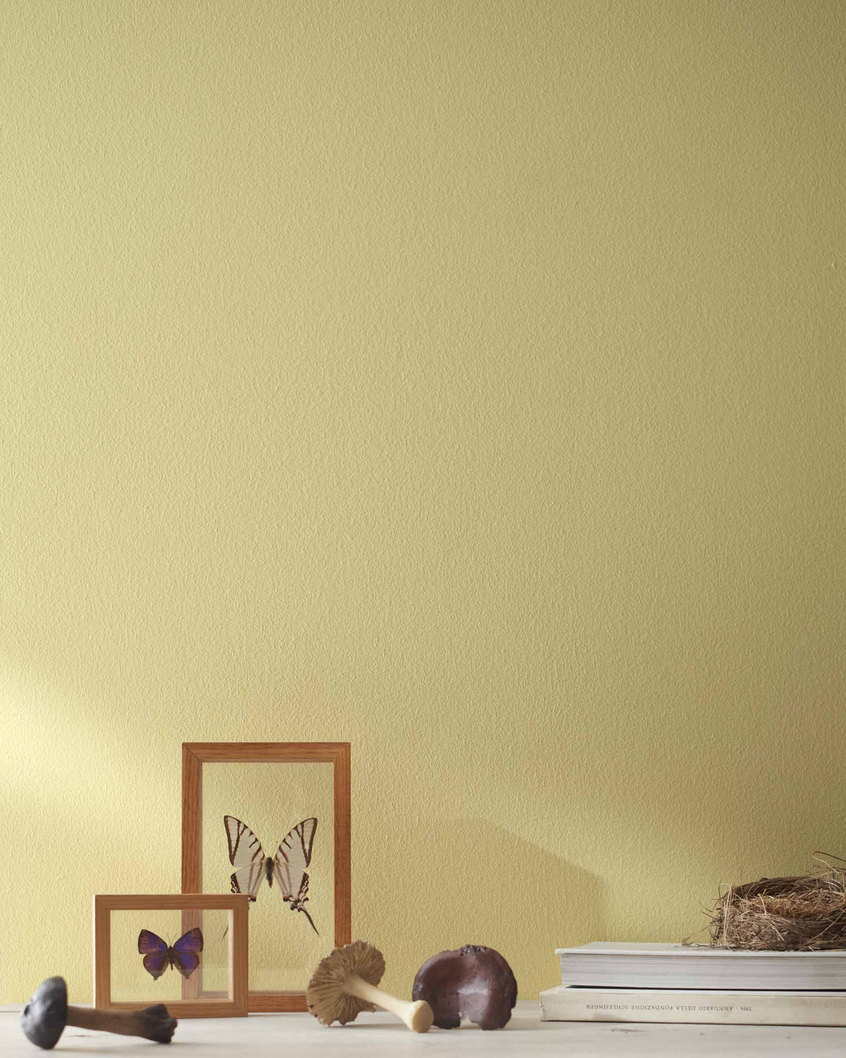 Timothy Straw (2149-40) – Benjamin Moore Hong Kong & Macau