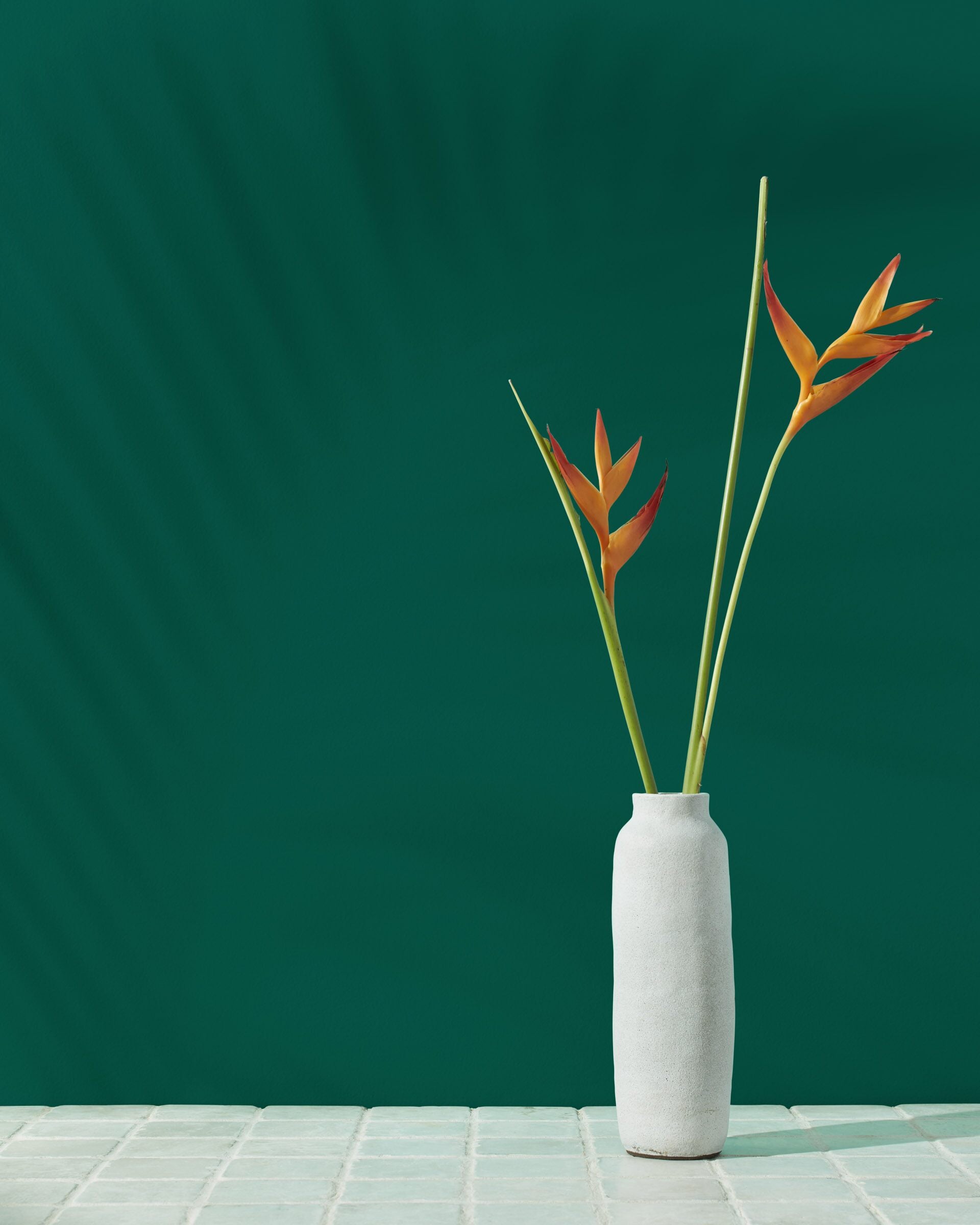 Absolute Green (2043-10) – Benjamin Moore Hong Kong