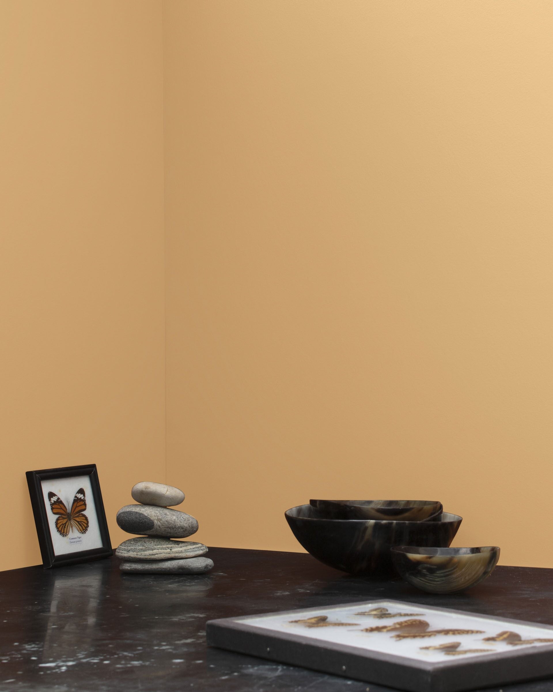 Camel Back (1103) – Benjamin Moore Hong Kong & Macau