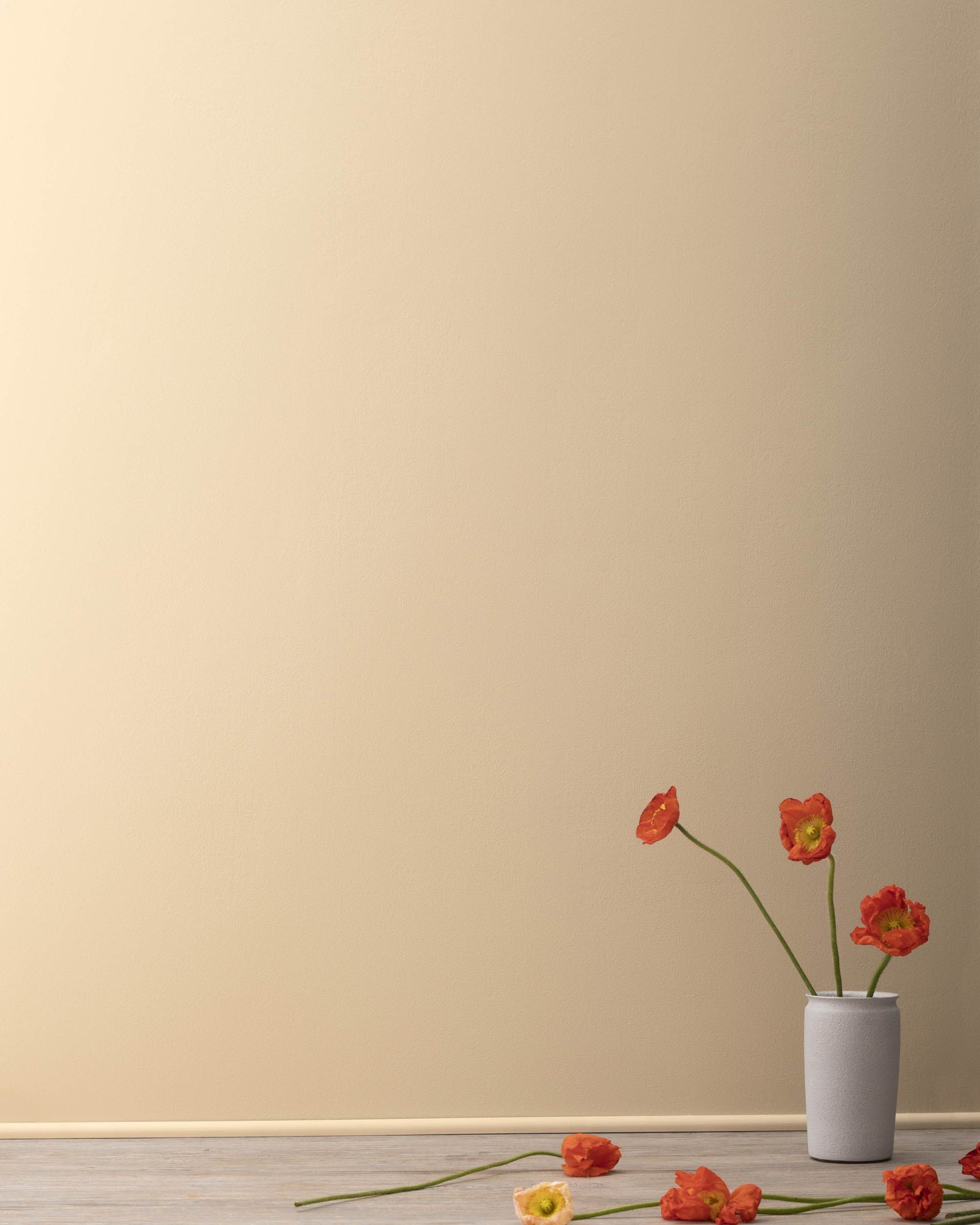 Squirrel Tail (1476) – Benjamin Moore Hong Kong