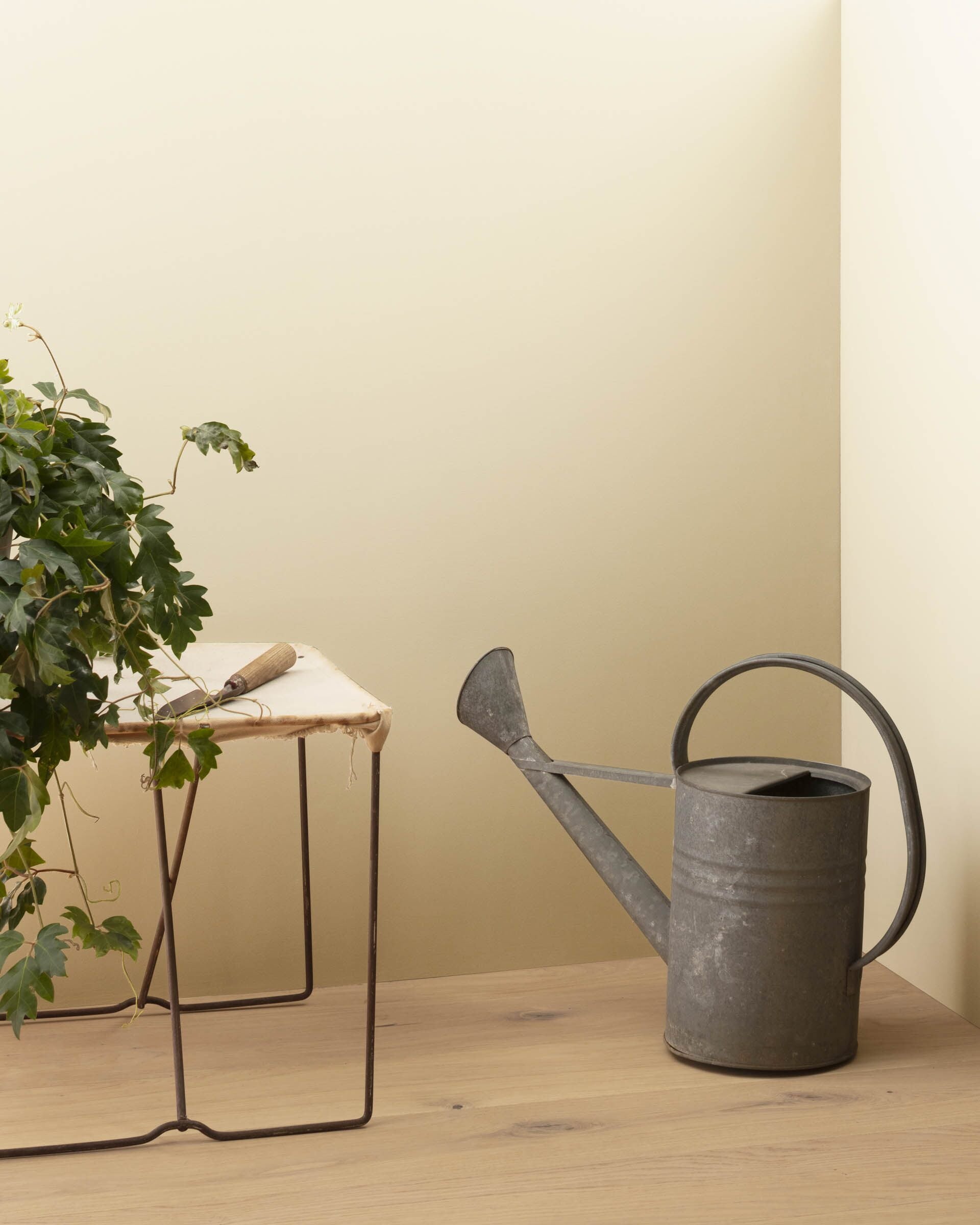 Wheat Sheaf (CC-220) – Benjamin Moore Hong Kong
