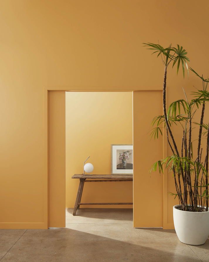Turmeric (2160-20) – Benjamin Moore Hong Kong & Macau