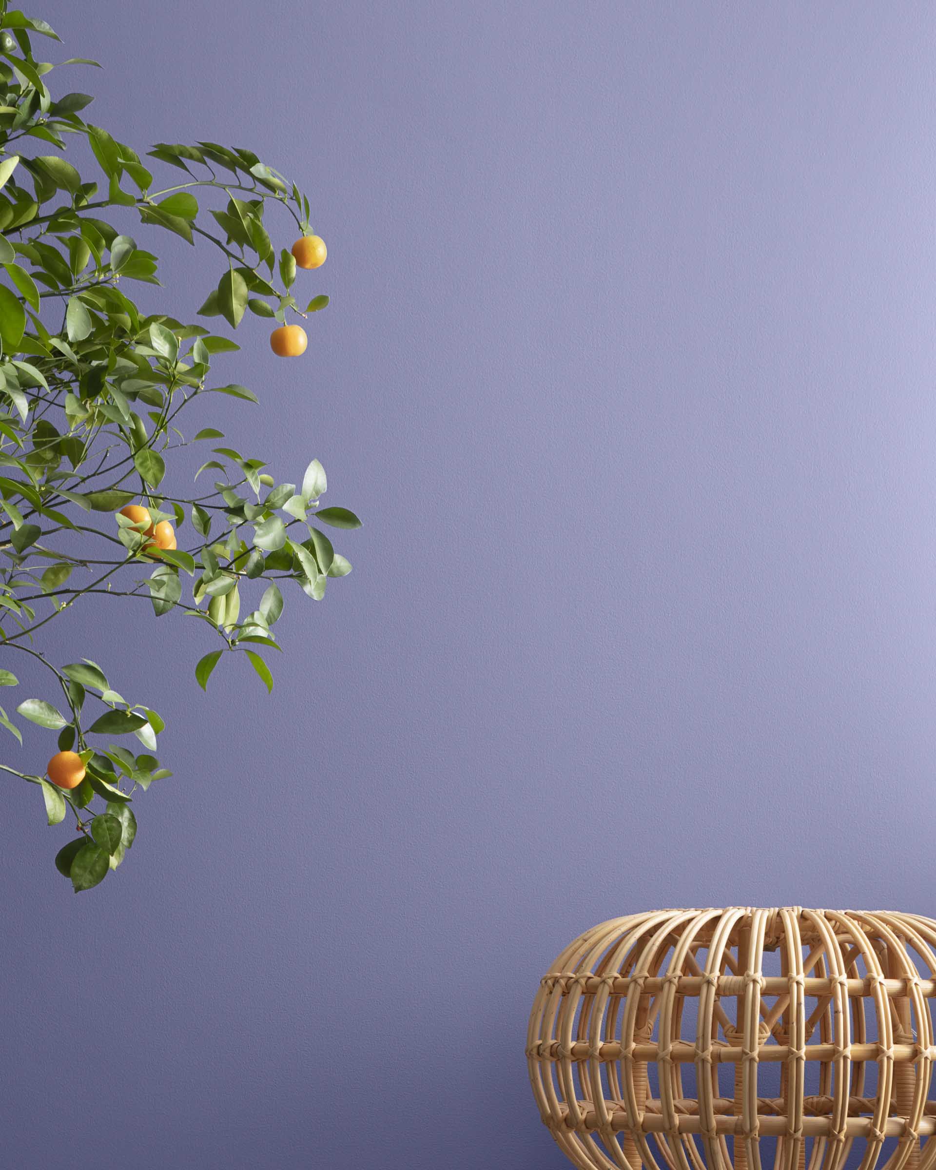 Violet Stone (2069-40) – Benjamin Moore Hong Kong