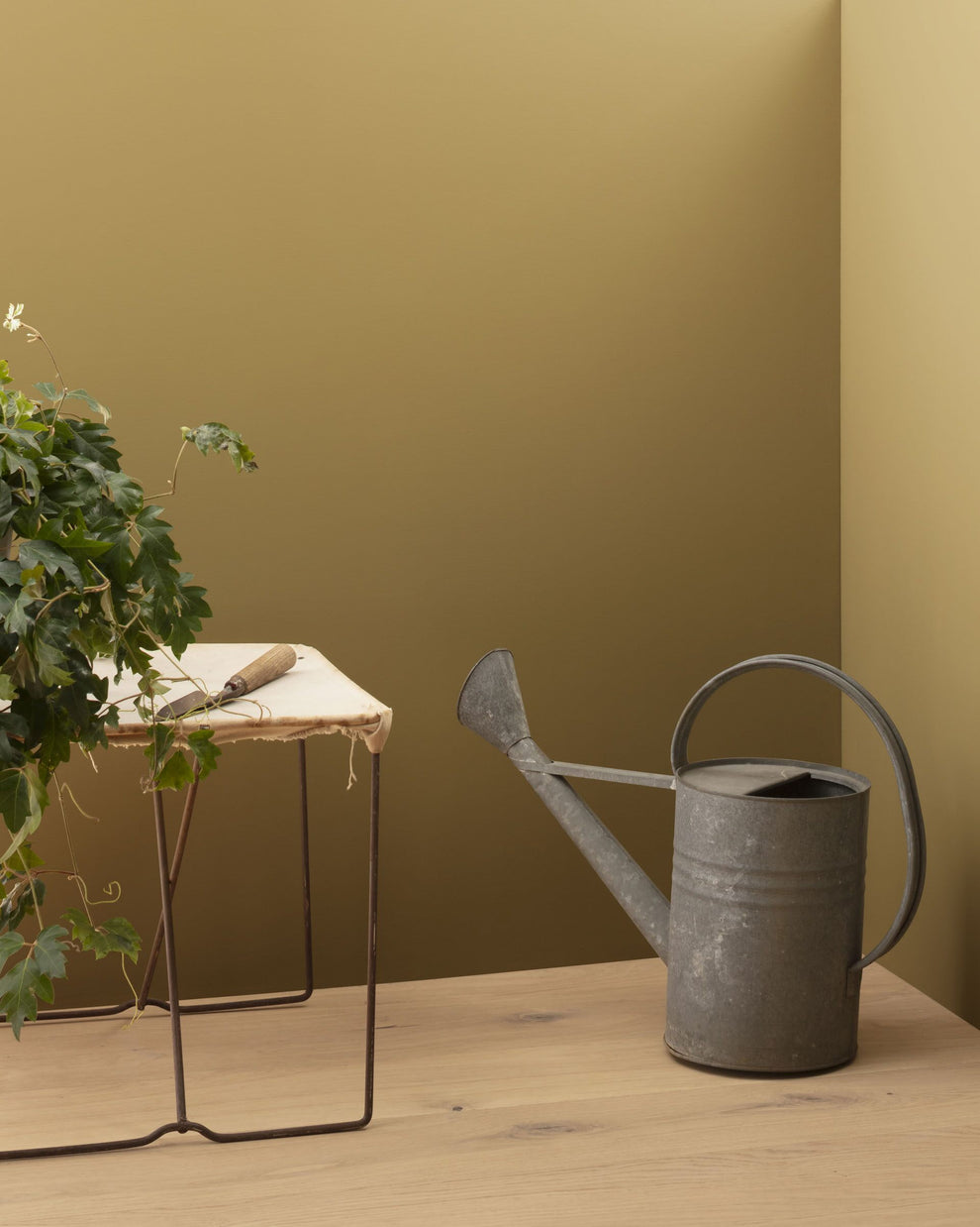 Seville Tan (251) – Benjamin Moore Hong Kong & Macau