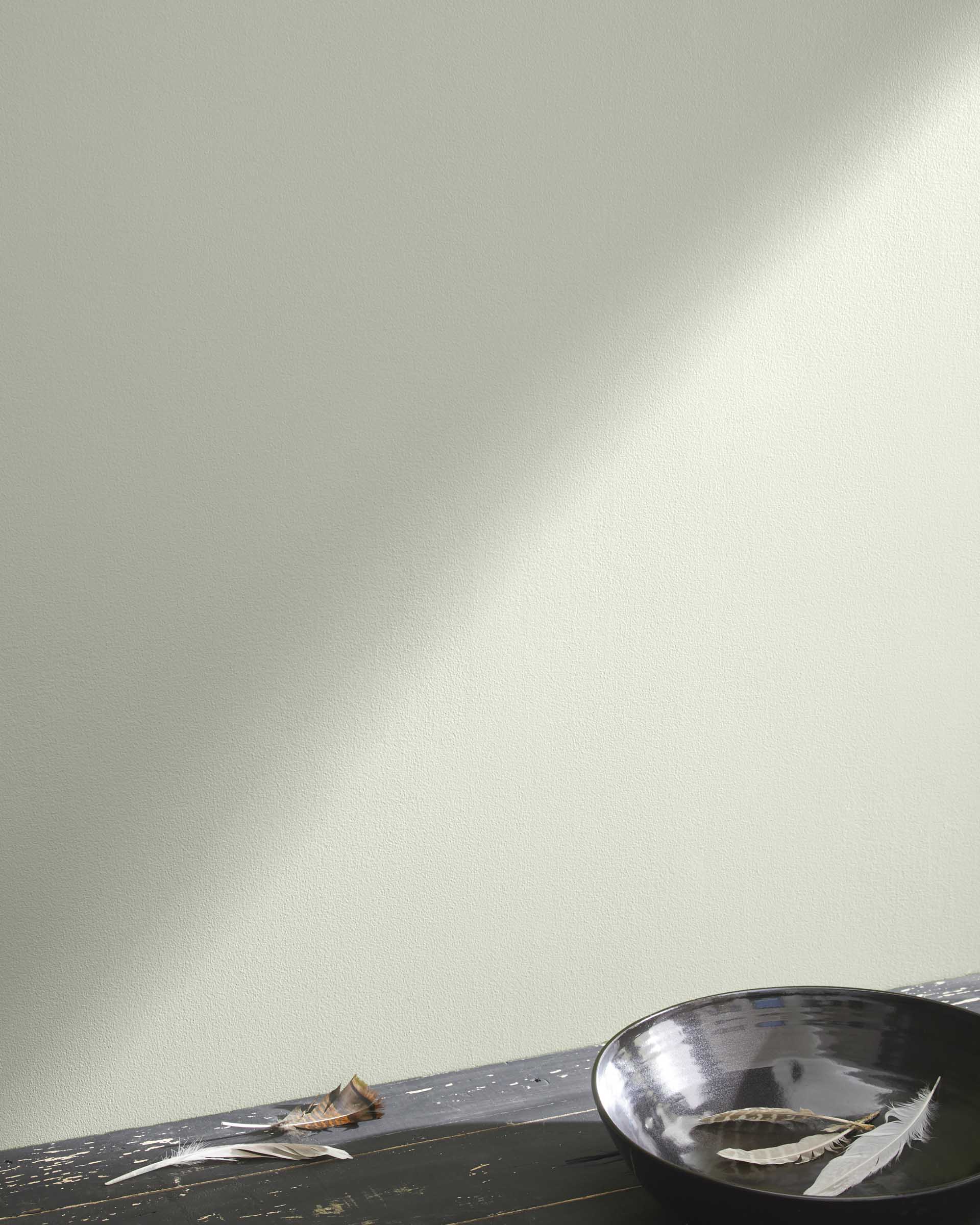 Silken Pine (2144-50) – Benjamin Moore Hong Kong