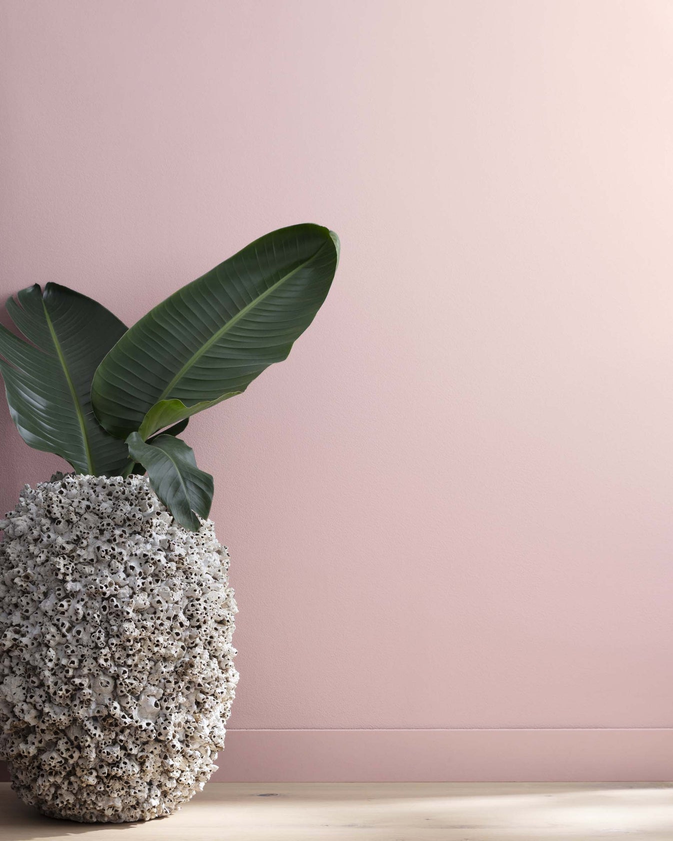 Vienna Green (538) – Benjamin Moore Hong Kong